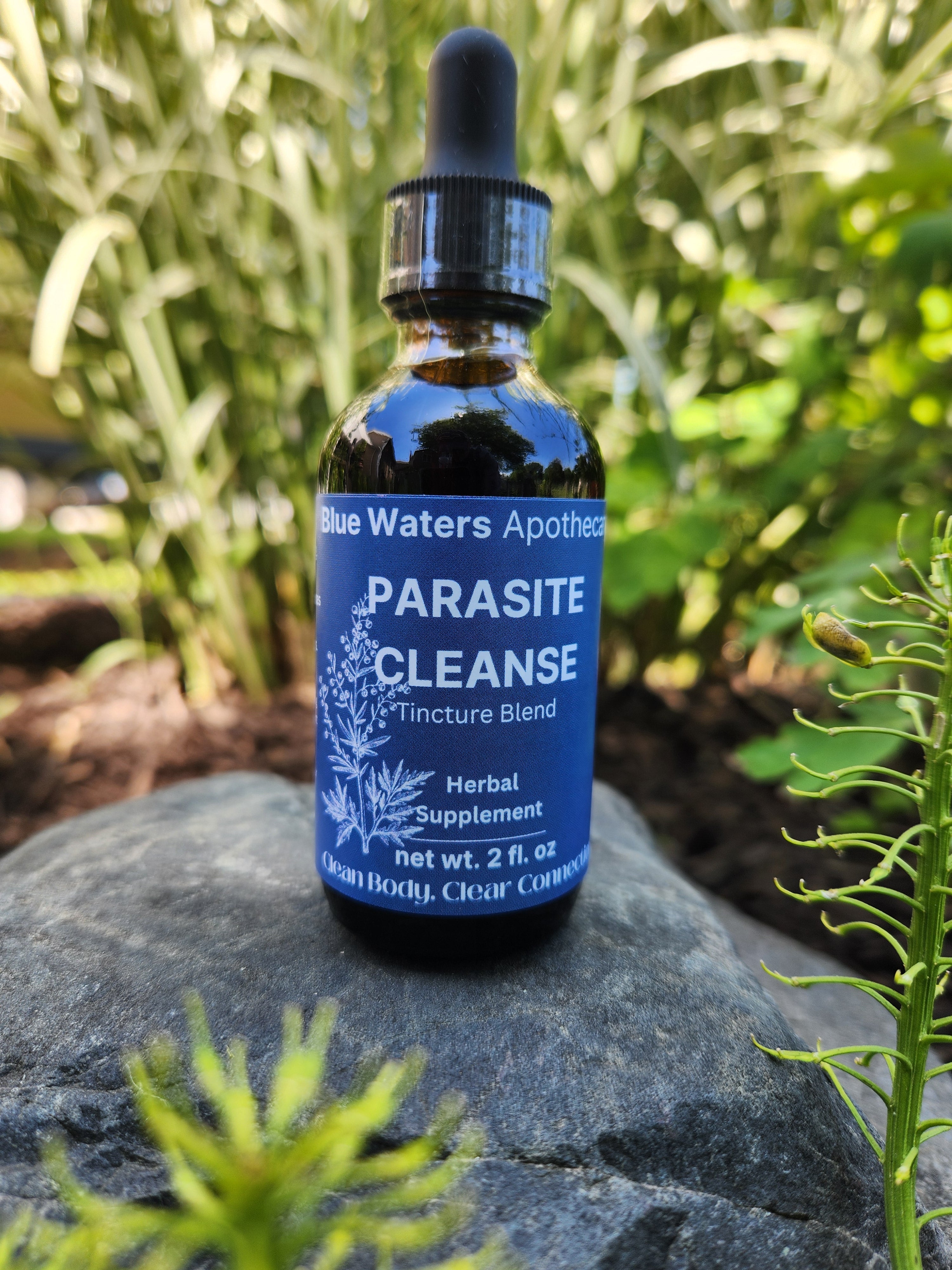 Tincture- Parasite Cleanse – Blue Waters Apothecary
